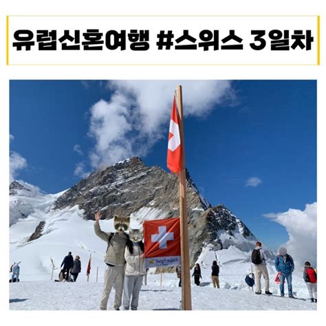 유럽신혼여행06 스위스3일차 융프라우 아이거글래처 클라이네샤이데크 트래킹 뮈렌 융프라우에서 뮈렌까지 네이버 블로그