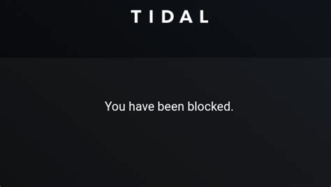 You Have Been Blocked · Issue 56 · Mastermindzhtidal Hifi · Github