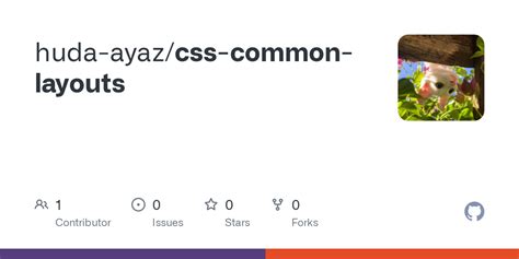 GitHub Huda Ayaz Css Common Layouts