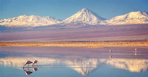 Lagunas Altiplánicas Salar De Atacama 25 Dto San Pedro De Atacama