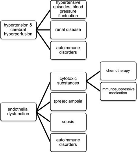 Posterior Reversible Encephalopathy Syndrome Causes Symptoms