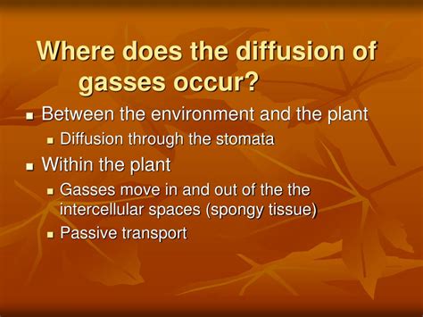PPT Gas Exchange In Plants PowerPoint Presentation Free Download ID