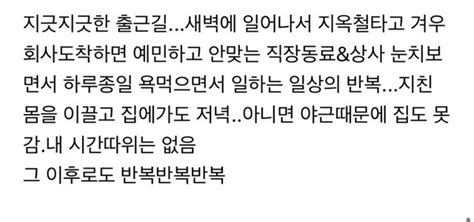 직장인 스트레스vs취준 스트레스 유머움짤이슈 에펨코리아