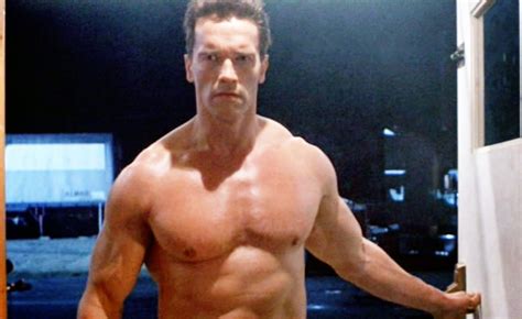 Terminator 2 Judgment Day Terminator Arnold Schwarzenegger