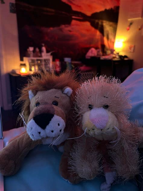 Mufasa And Sarabi Love