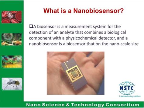 Nanobiosensors Pptx Chemistry Science