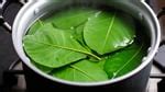 7 Manfaat Daun Awar-Awar yang Wajib Kamu Intip!