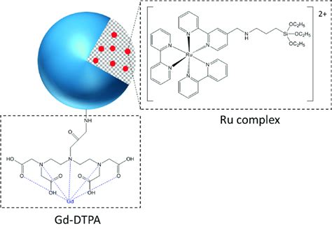 Schematic Representation Of A Lumilys 650 Np Functionalized With