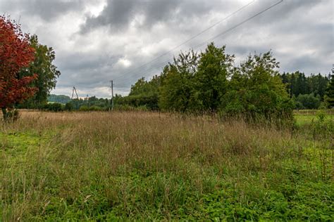 필드와 초원과 백그라운드에서 희귀 나무와가 빈 시골 풍경 0명에 대한 스톡 사진 및 기타 이미지 0명 나무 농업 Istock