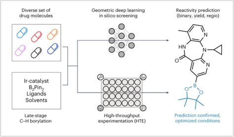 Enabling Late Stage Drug Diversification By High Throughput