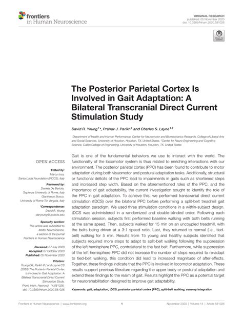Pdf The Posterior Parietal Cortex Is Involved In Gait Adaptation A Bilateral Transcranial