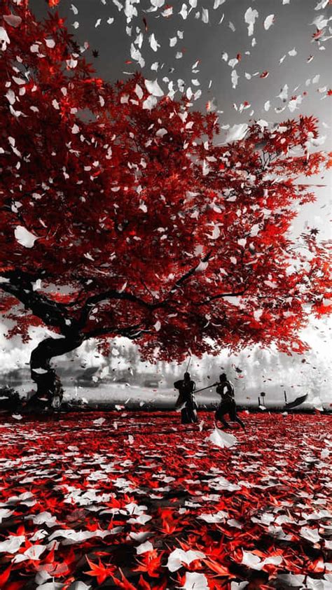 A Red Tree With Leaves Falling Down Wallpaper Wallpapersok