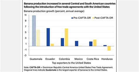 Banana Production Increased In Several Central And South American Countries