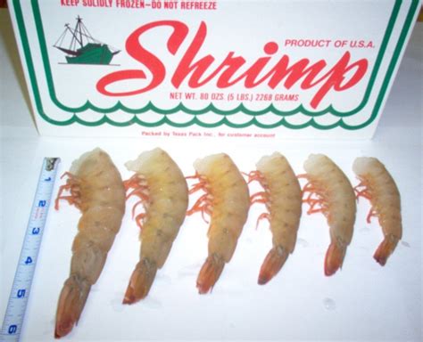 Fresh Wild Caught Shrimpunited States King Shrimp Wholesale Price