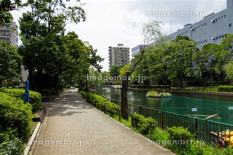 横十間川親水公園の写真素材 151138310 イメージマート