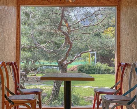 까페 카페 커피 Pixabay의 무료 사진