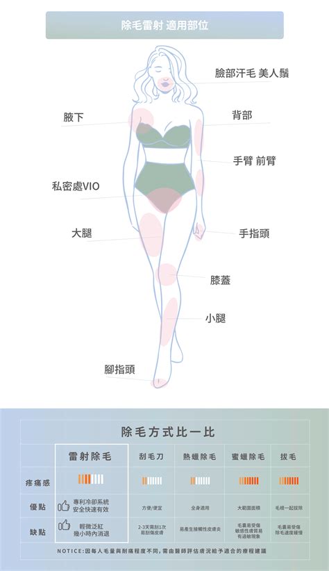 Pro U亞歷山大 除毛雷射 服務項目 維格醫美 皮秒雷射微整整型私密處雷射隆乳減脂