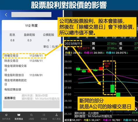股票股利是什麼？怎麼算？配股怎麼領？ Mrmarket市場先生