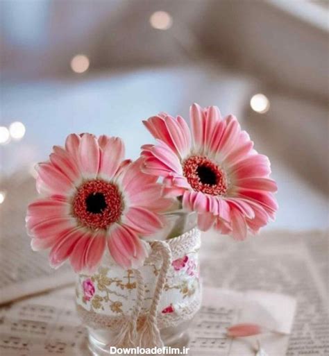 عکس پروفایل شیک بهاری دخترانه