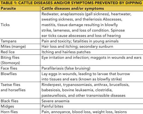 How And When To Dip Deworm And Vaccinate Your Cattle Farmers Weekly