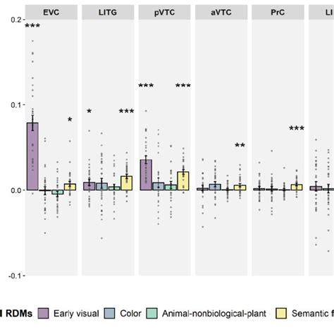 Semantic And Perceptual Representations Represented In Rois Regardless Download Scientific