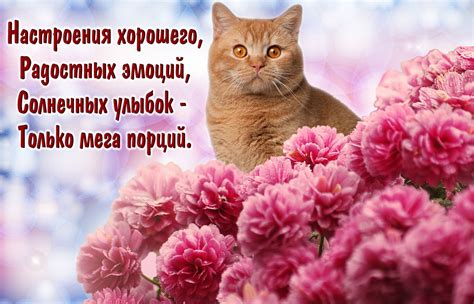 Картинки и Открытки с Пожеланиями бесплатно скачать