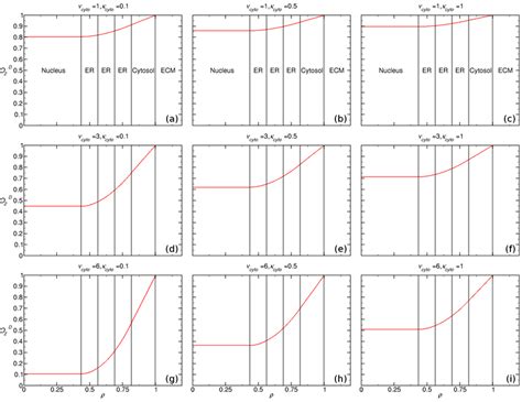 Intracellular Oxygen Concentration Dependency On Michaelis Menten
