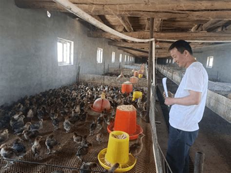 高台县宣化镇畜牧兽医工作站：“三步走”做好跨省调入动物落地监管工作隔离检查监督