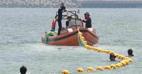 해수부 해파리 대량발생 위기경보 경계 단계 발령