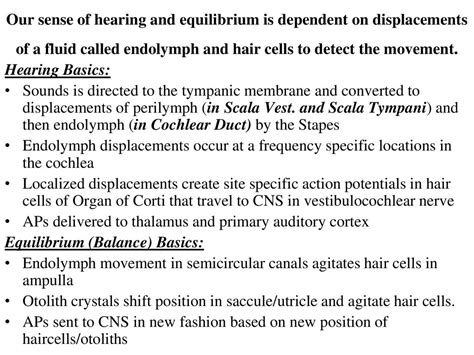 Anatomy And Physiology Of The Eye And Ear Chapter 16 Nov 17 And Nov 27