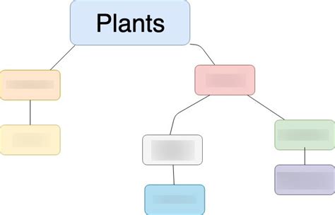 Plan Unit Mrs Anderson 22719 Diagram Quizlet