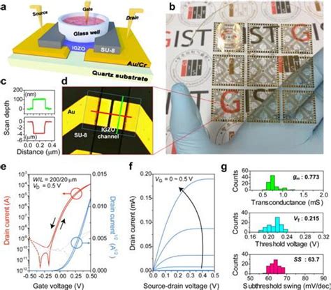 Aqueous Electrolyte Gated Solution Processed Metal Oxide Transistors
