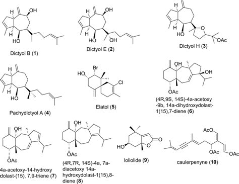 Chemical Structure Of Seaweeds Terpenoid Having Chemical Defense