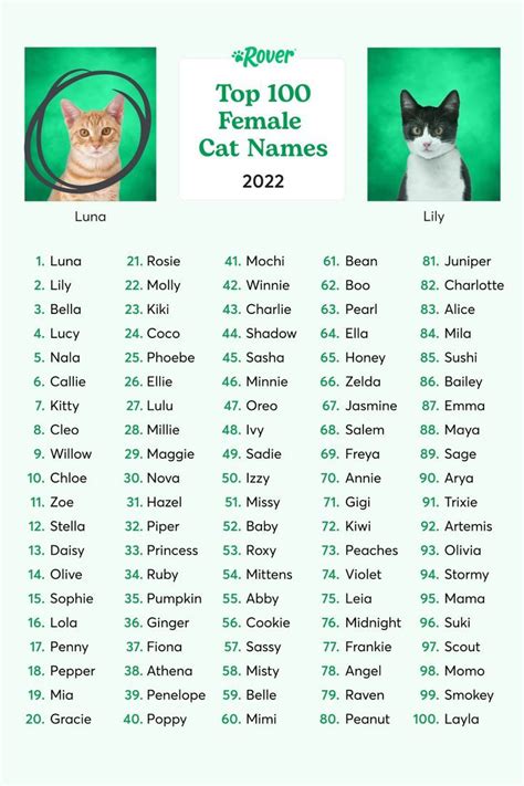 The Top 100 Female Cat Names For 2012 Including Cats In Different