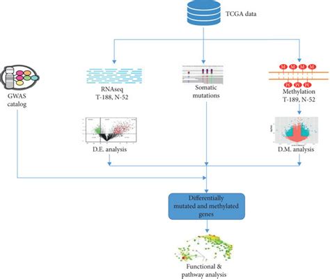 Study Design And Data Analysis Workflow For Integrative Analysis