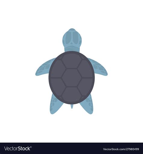 Isolated Sea Turtle Design Royalty Free Vector Image