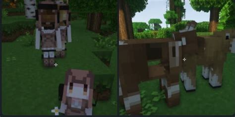 Some Mobs Missing Parts While Others Seem Fine Roptifine