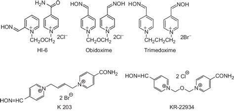 Chemical Structure Of Oximes Download Scientific Diagram