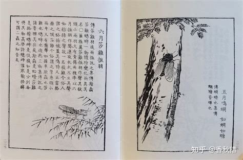 以寻常心读《诗经》，走近最熟悉的陌生人 知乎