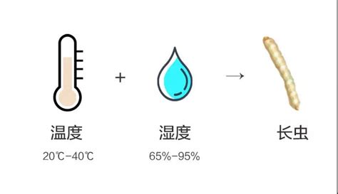 米面生虫了怎么办？还可以吃吗？东方养生频道东方养生