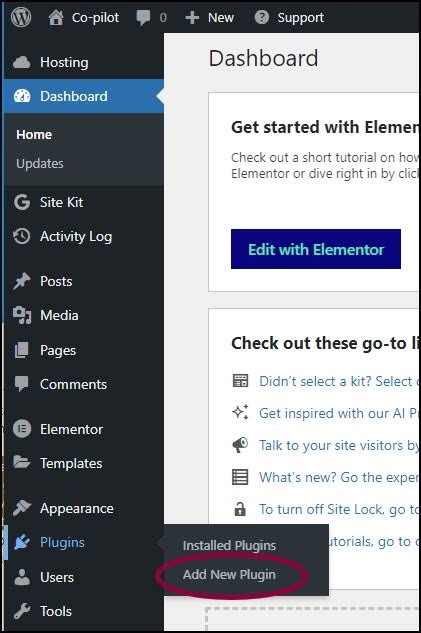 How Do I Issue Temporary Credentials To Support Elementor