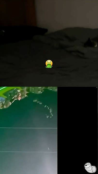 That Was Nasty 🤢 Funny Memes Comedy React Reaction Shorts Youtube