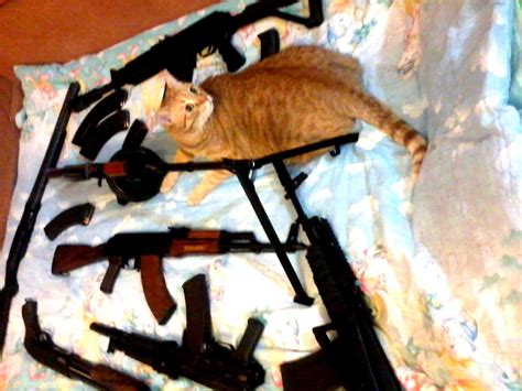Кот и пулемет - Guns.ru Talks