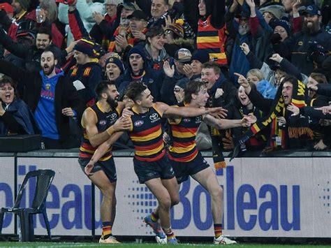 Afl Goal Umpire Daniel Hoskin To Stand In First Match Since Ben Keays