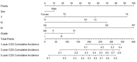 Competing Risk Nomogram For Predicting Cancer Specific Survival In Multiple Primary Colorectal