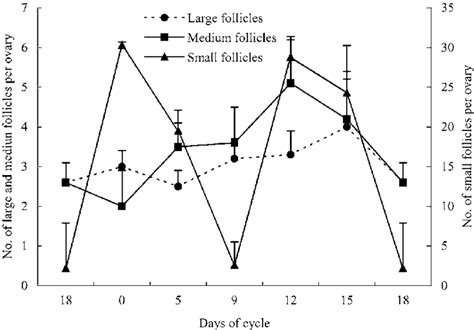 Numbers Of Follicles Of Different Sizes At Different Stages Of The Goat