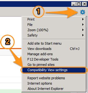 Internet Explorer Compatibility View Settings
