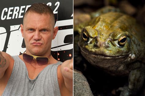 Porn Star Arrested For Photogs Death From Inhaling Toad Venom