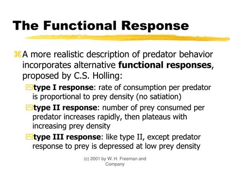 Ppt Chapter 18 Dynamics Of Predation Powerpoint Presentation Free Download Id 2996056