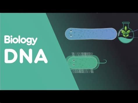 What Is Dna Instructional Video For 9th 12th Grade Lesson Planet